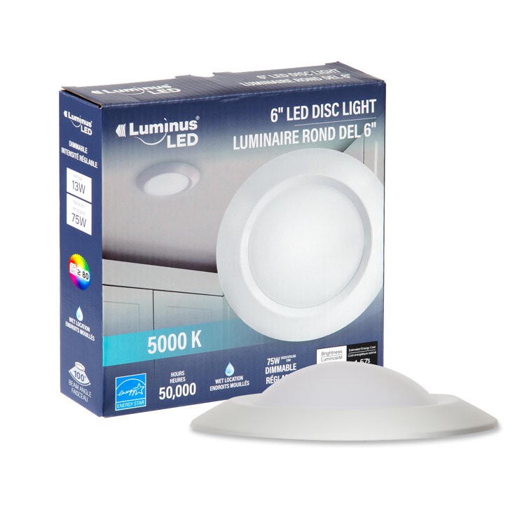 Luminus 60 Watts Lumière du jour à DEL à intensité variable de 6 000 lumières à DEL de 6 000 ...